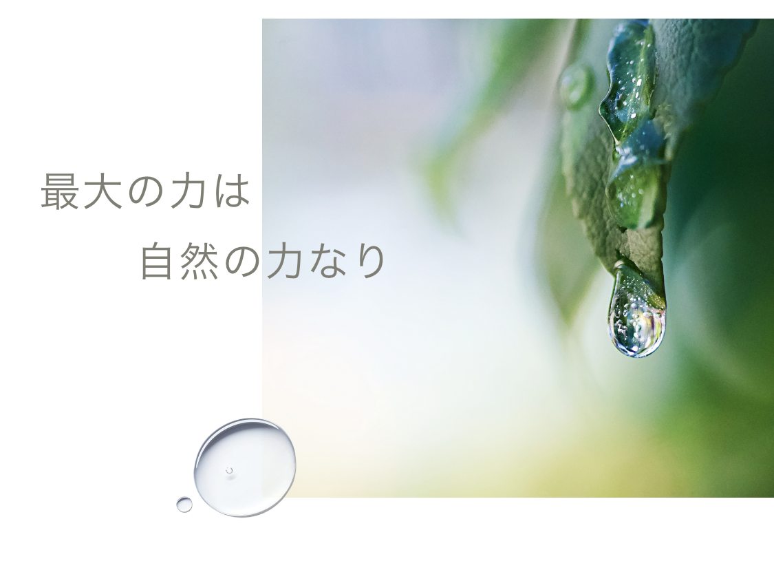 マナビス化粧品 公式オンラインストア – MANAVIS.STORE